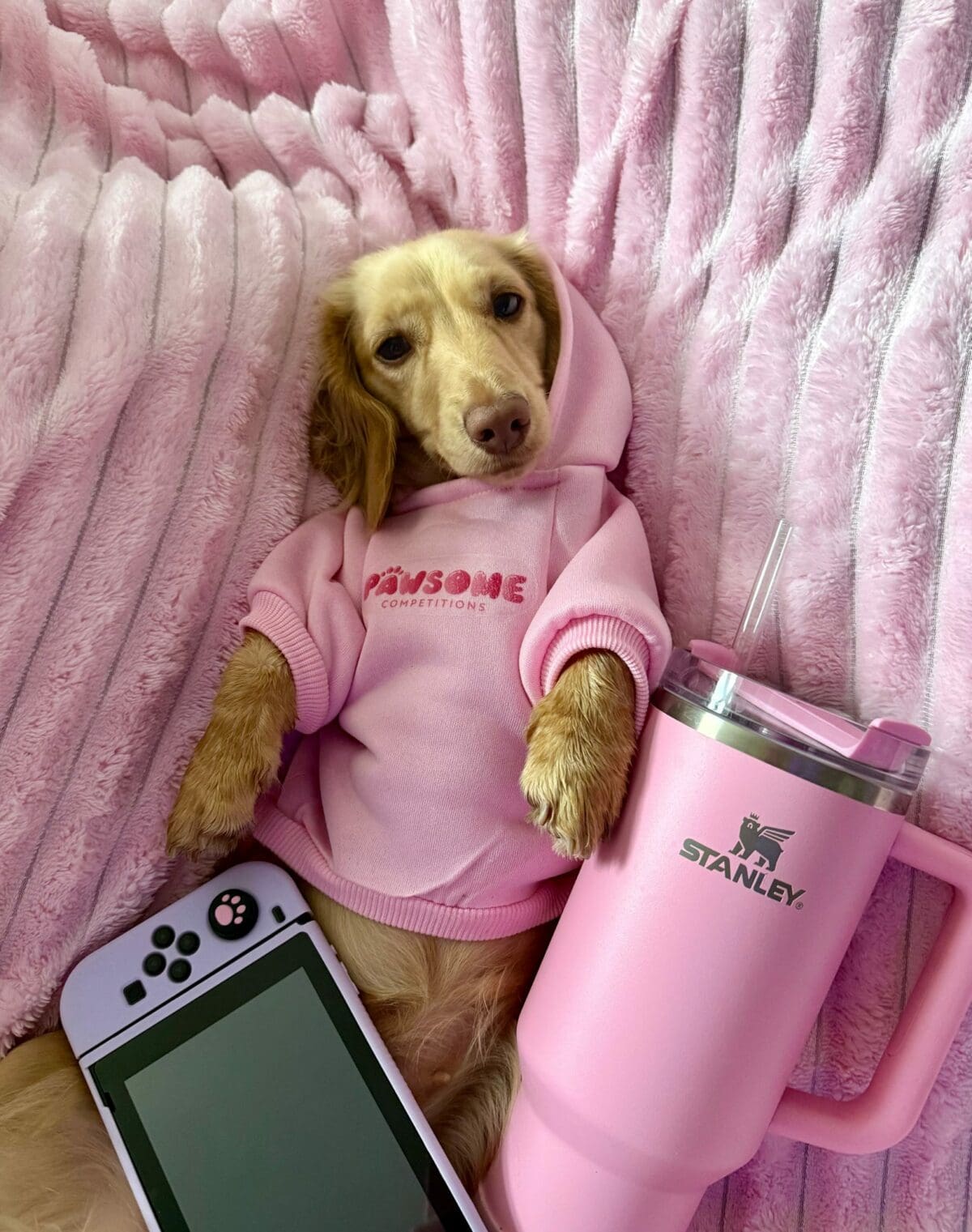 WIN TWO CRUFTS SATURDAY TICKETS 🐶 - Pawsome Competitions