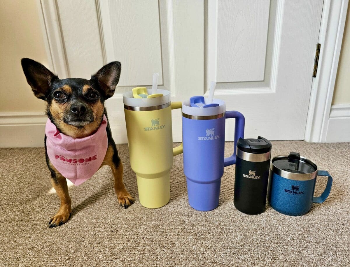 WIN A NEW Stanley Camp/Quencher/Flip Straw - Pawsome Competitions